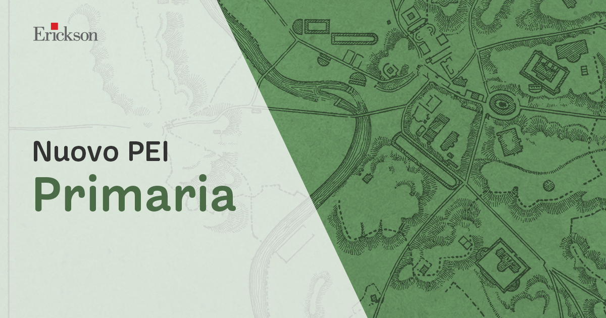 Costruire Il PEI Alla Scuola Primaria: Esempi Di, 58% OFF Costruire Il PEI Alla Scuola Primaria: Esempi Di, 58% OFF
